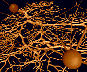 Amos Storkey: Introduction to site